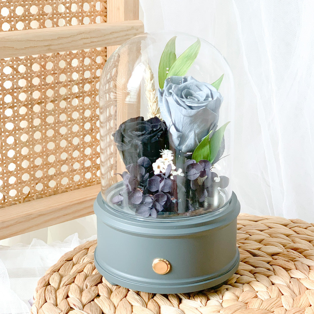 Blitzen – Solflora