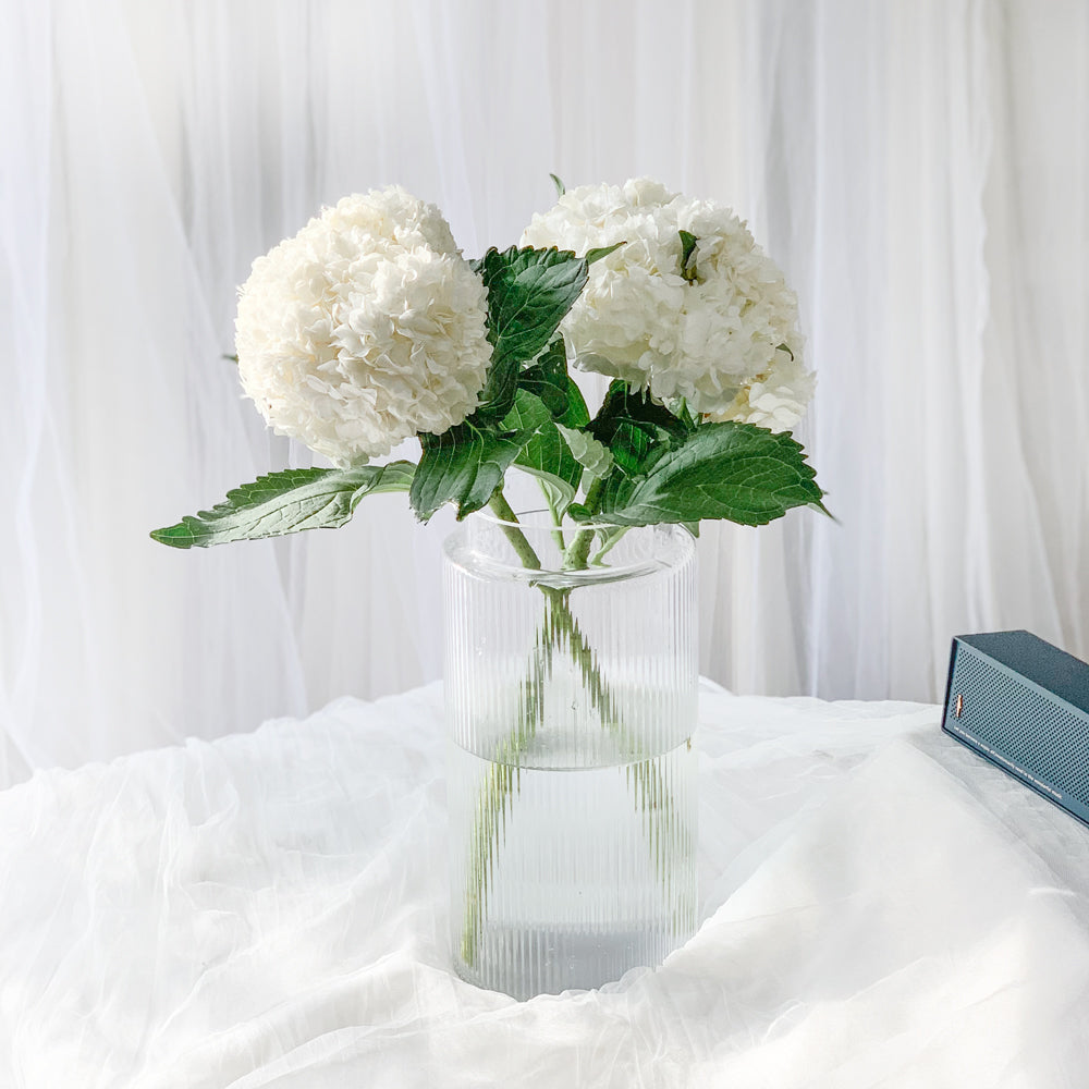 Hydrangea Collection – Solflora