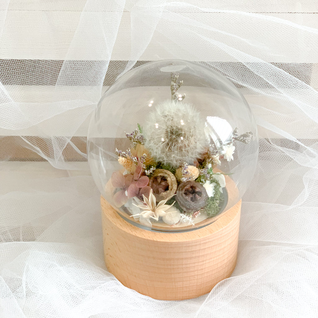 Dandelion – Solflora